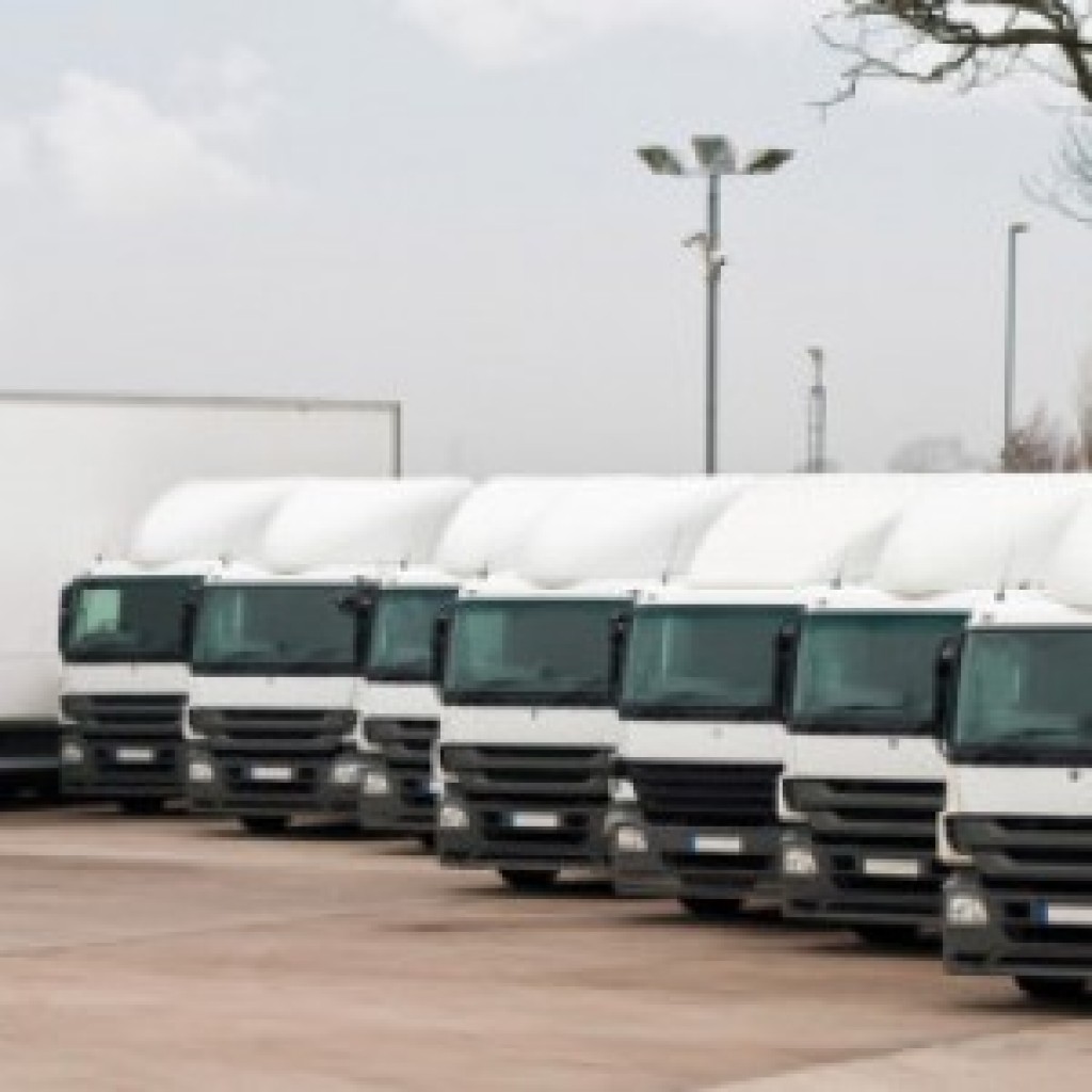 Motor Fleet - Qatar Insurance Group